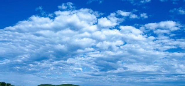 Dicen | Literal Magazine